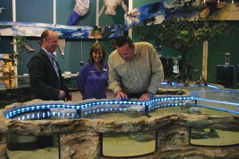 Interactive Marine Life Exhibit Unveiled - Life In Naples Magazine