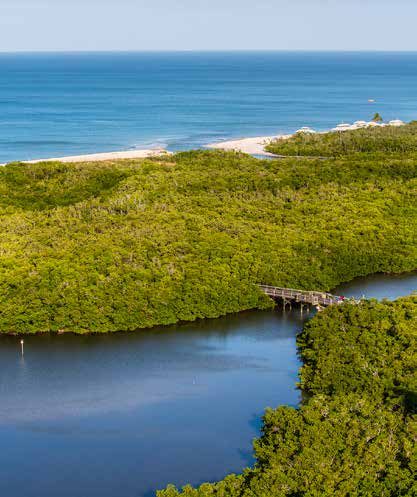 Take a walk at the Conservancy and enjoy Nature - Life In Naples Magazine