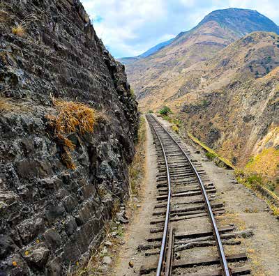 ron mcginty tells us about The Chiva Express - Life In Naples Magazine