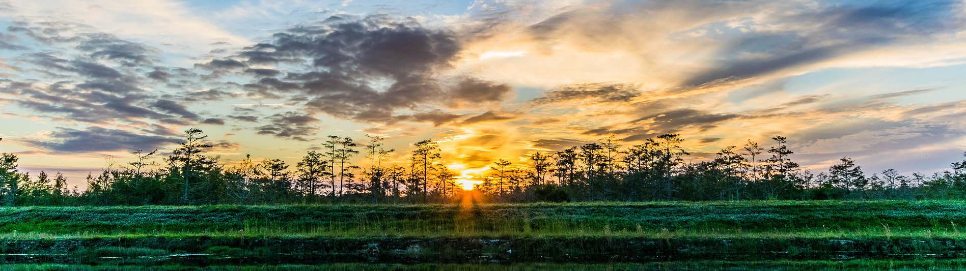 We Can't Stop Now by Eric Eikenberg CEO Everglades Foundation - Life In ...