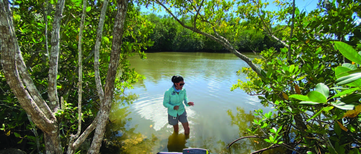 Rookery Bay Experience the True Nature of Naples - Life In Naples Magazine